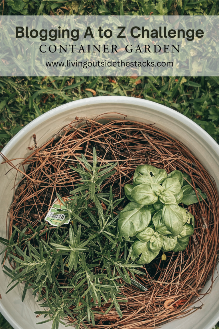 Blogging from A to Z April Challenge: Container Garden – Living Outside ...
